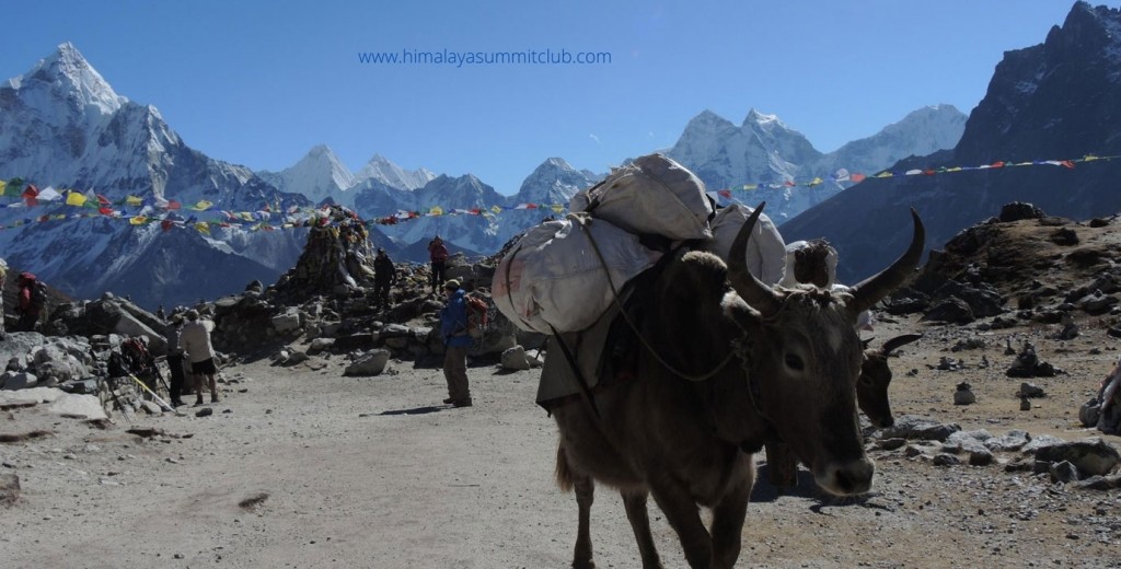 Experience With Himalaya Summit Club | Himalaya Summit Club